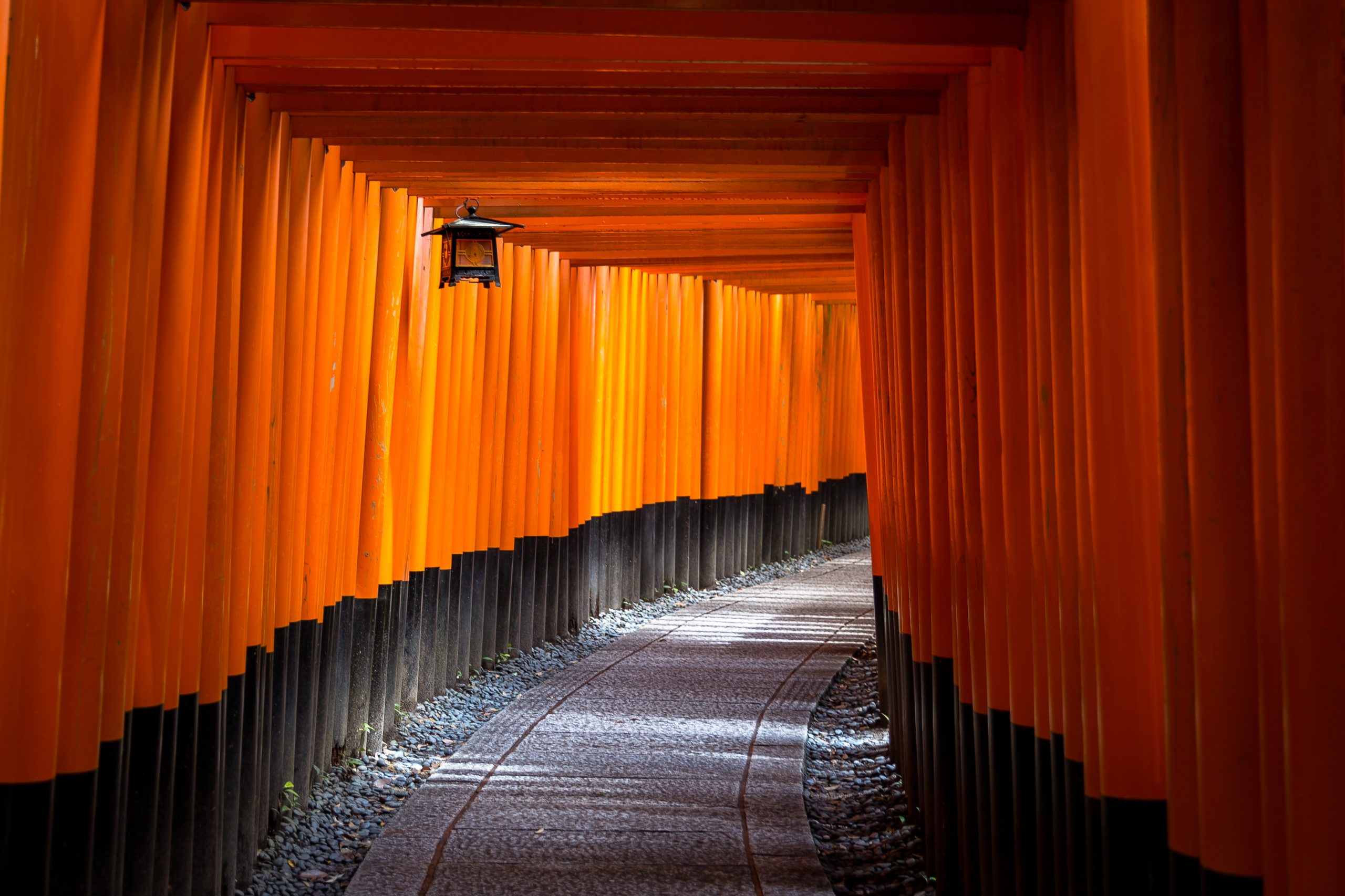 Back Roads of Japan | Lininhas